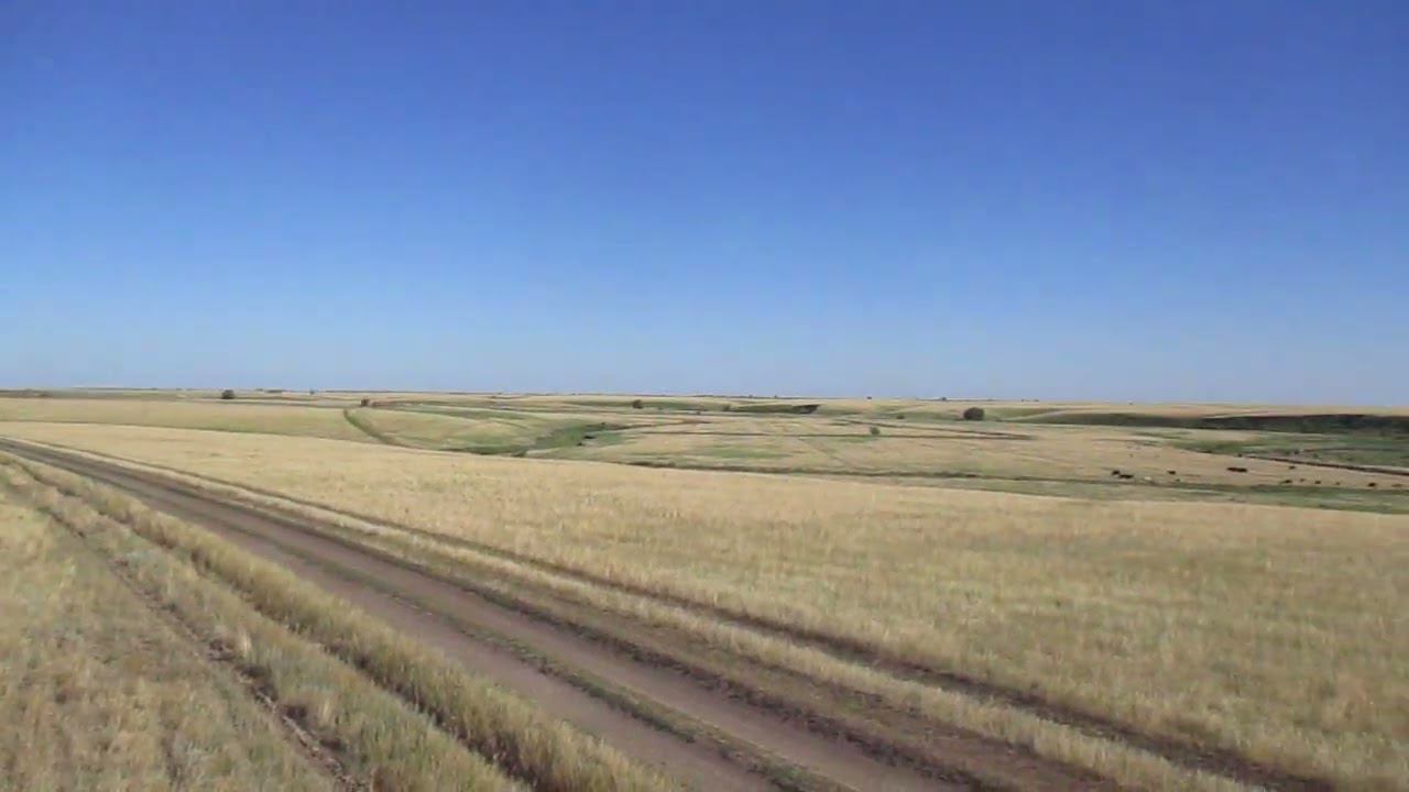 Опустевший хутор Blumenfeld, Советский район.