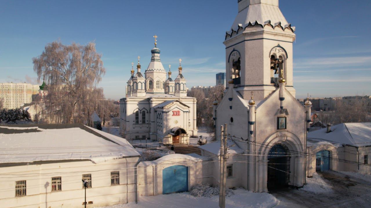 Голуби атакуют дрон