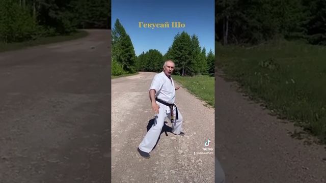 Ката Гекусай Шо