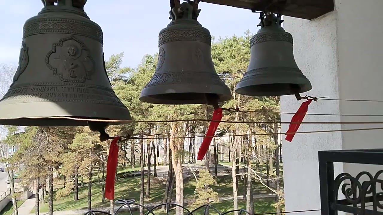 звонильная неделя 2023 (video 20230419 111519)