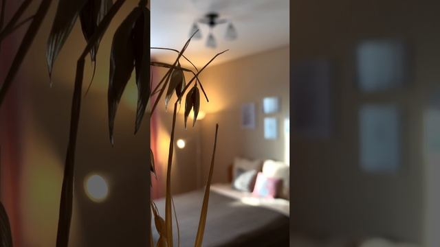 Квартира посуточно Красноярск Планета |  Apart Royal | Оптимум