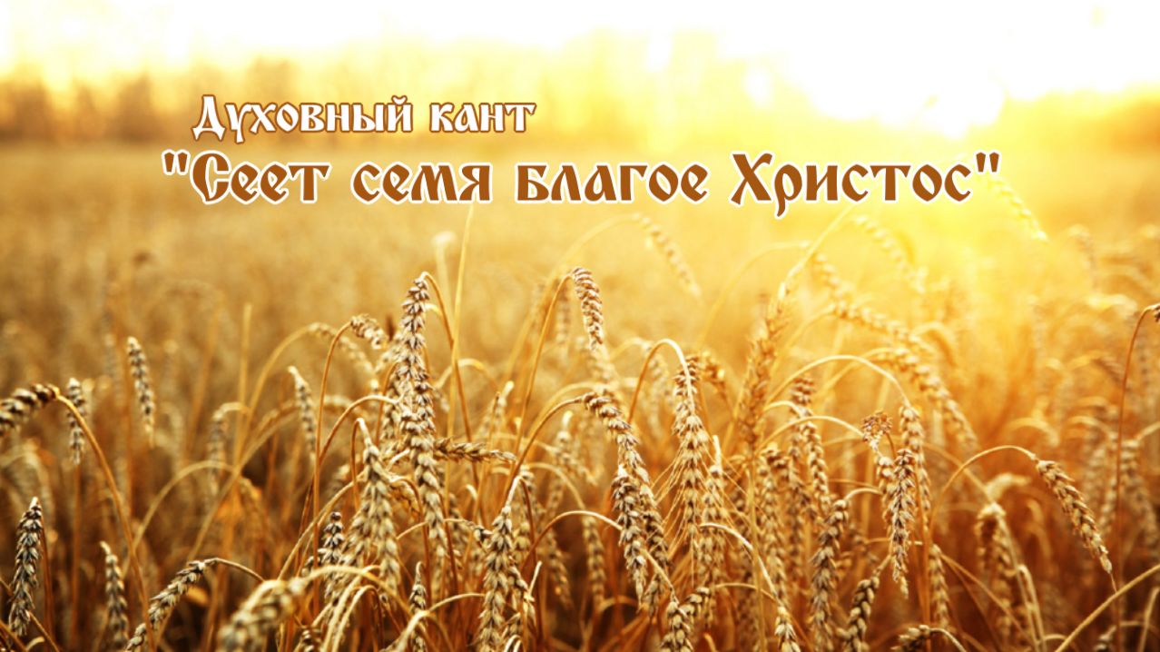 ♪ Сеет семя благое Христос