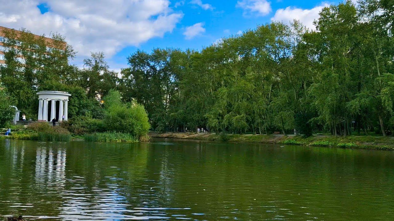 Утки в Харитоновском парке