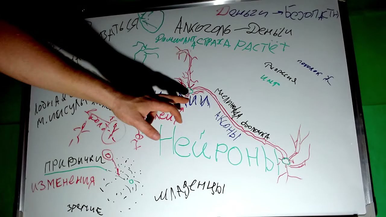 ✅КЛЕТКИ ГЛИИ, АКСОНЫ И НЕЙРОНЫ. КАК СТРОЕНИЕ МОЗГА ВЛИЯЕТ НА ВОСПИТАНИЕ РЕБЁНКА И ЖИЗНЬ ВЗРОСЛОГО