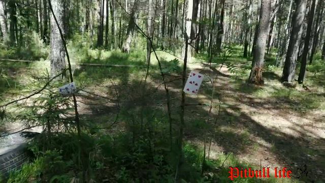 Обычный день