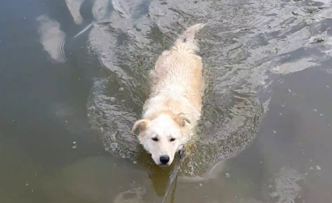 И снова купаемся.