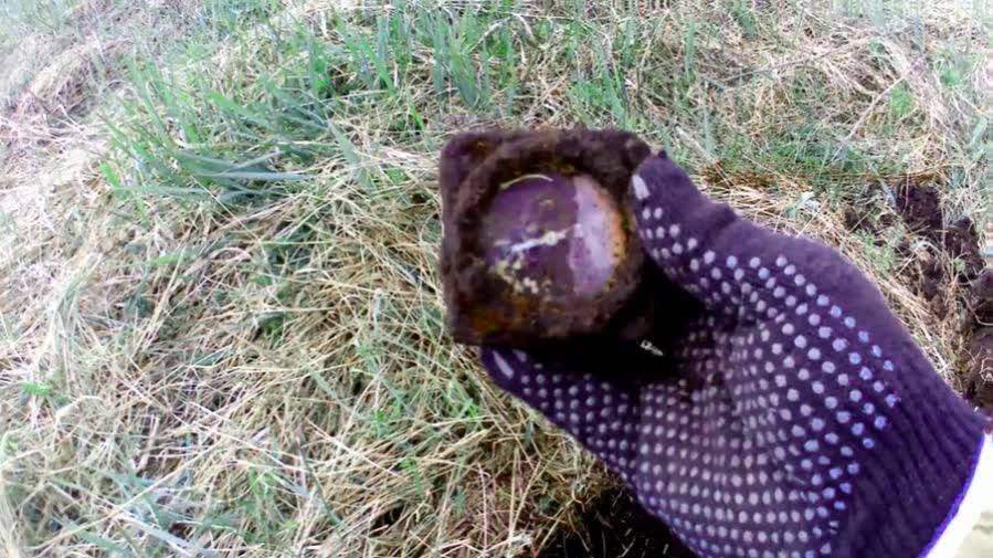 Копаю металл №6