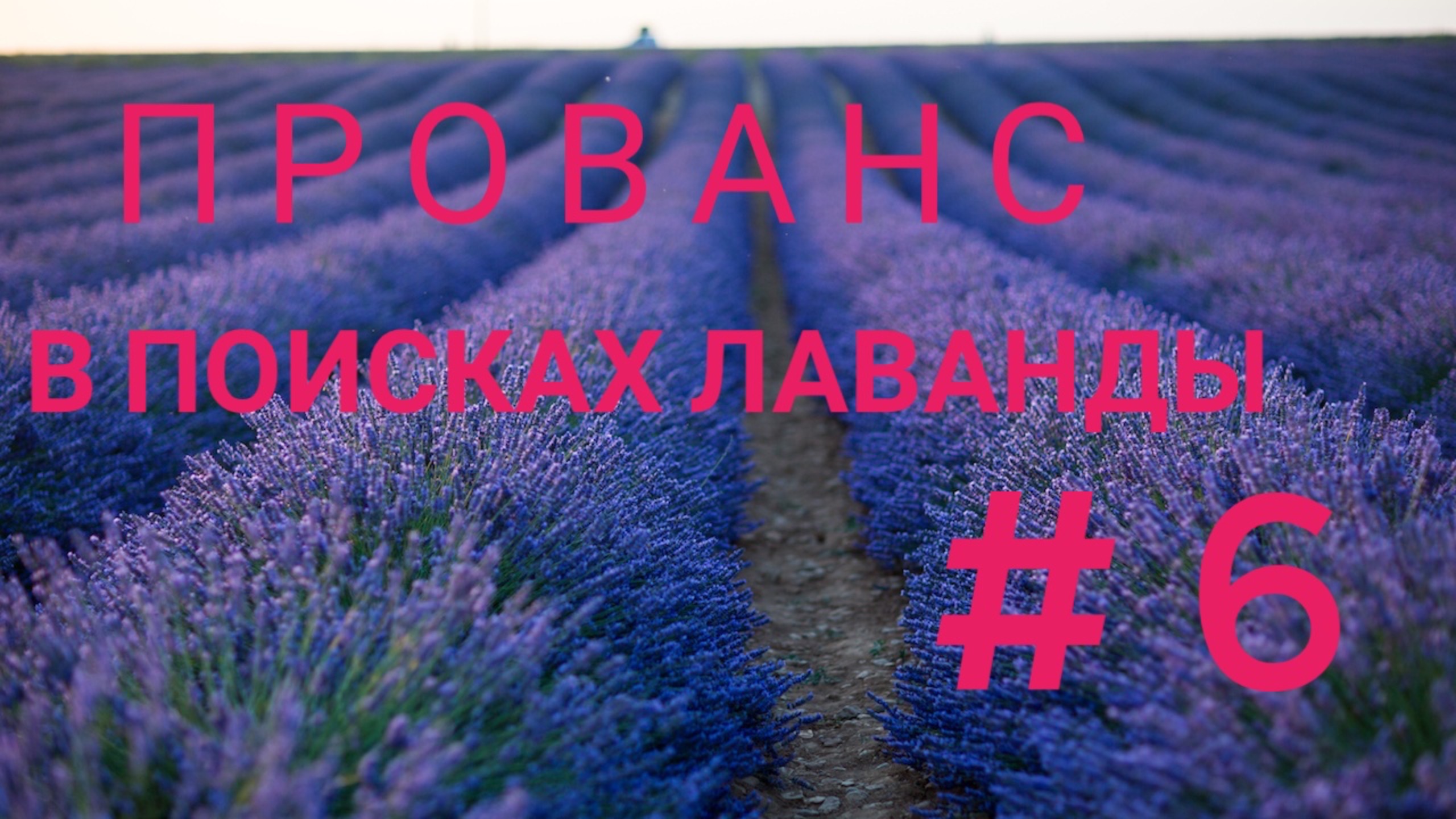 Французский Прованс. В поисках лаванды часть 6. Финал.