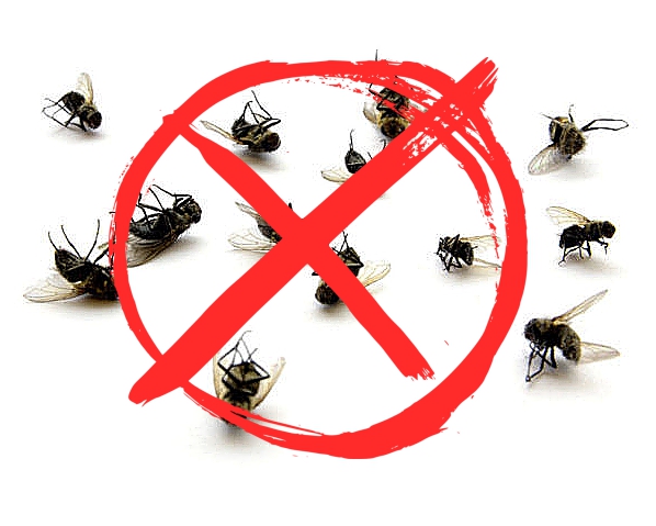 Народное средство от комаров, мошек и других насекомых!