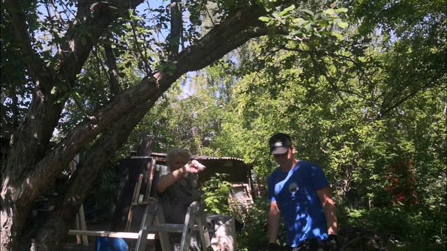 Садовый участок. Часть 11. Зачистка территории