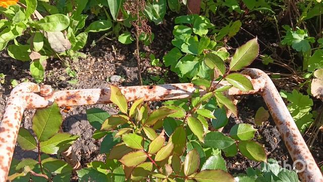 ОТМЕЧАЕМ ПРИХОД ОСЕНИ/ИТОГИ ЛЕТА - ОБЛОМ!!!