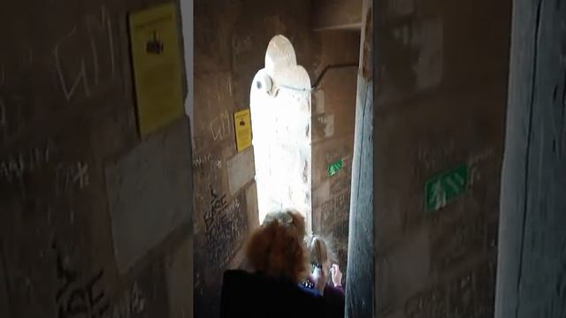 В башне Сограда Фамилия. Барселона