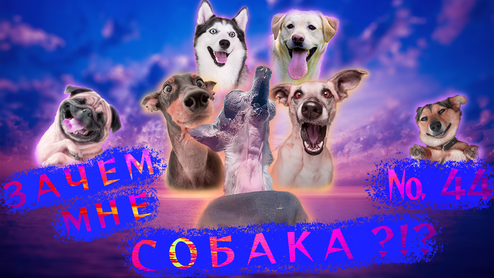 Для этого тебе НУЖНА СОБАКА!!! ?(44).