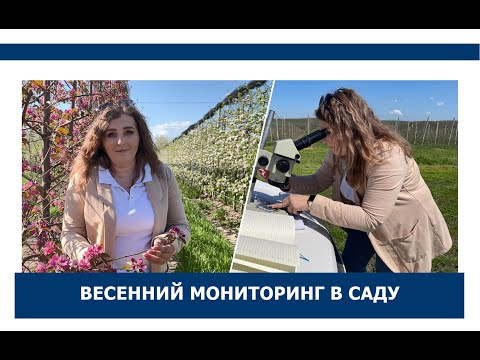 Садоводство и виноградарство/Весенний мониторинг в саду/Садоводство 2021
