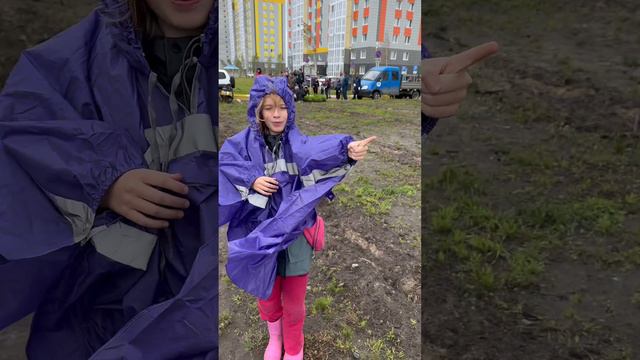 Посадка 1000 сосен