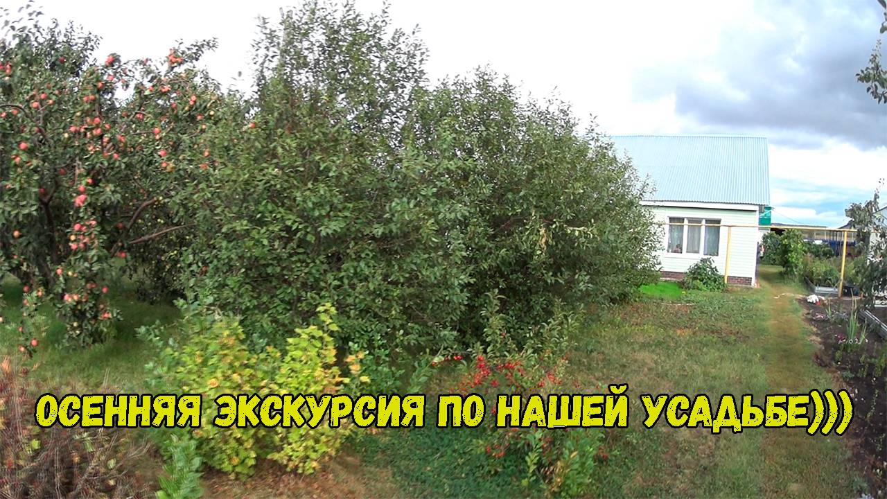 🍁 🍂 🏰Осенняя экскурсия по нашей усадьбе...
