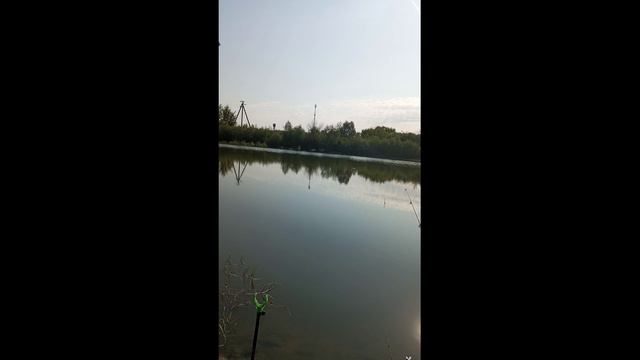 Вот это поклёвка !