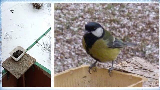 В очередь 2022