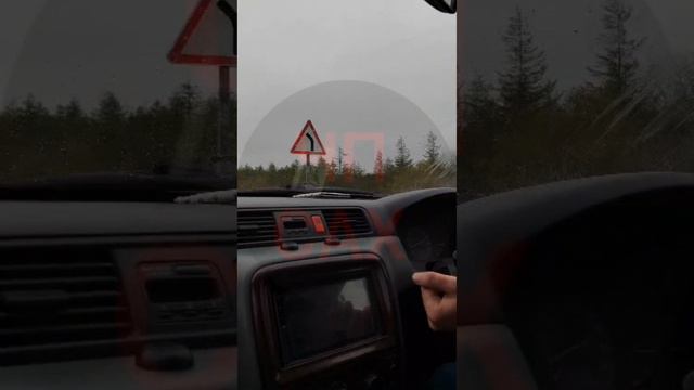 Медведь пришел а гости)))