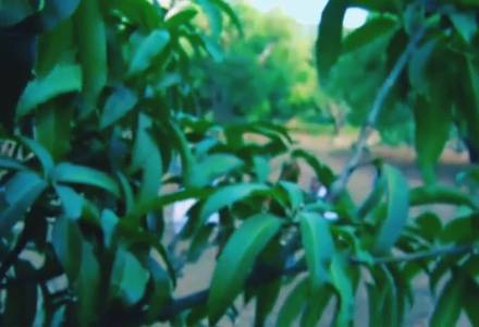 Бог Богов... Махадев (начало мироздания)