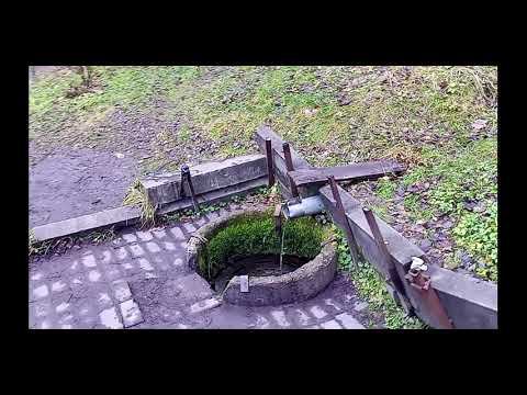 Осенний лес / Ближний родник