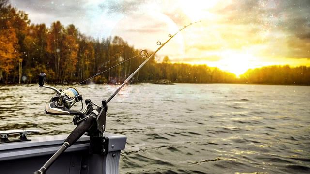 Музыка для души