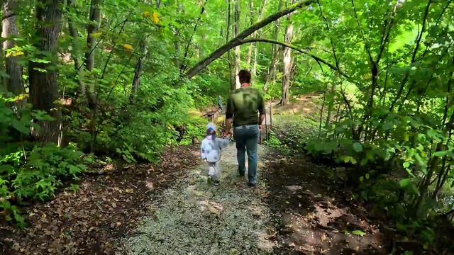 На блогерских фото выглядит круче, по факту так себе. Усадьба Жомини, Нижегородская область