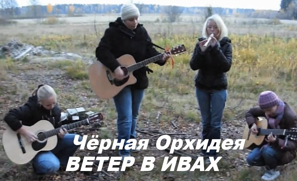 Чёрная Орхидея: Ветер в ивах