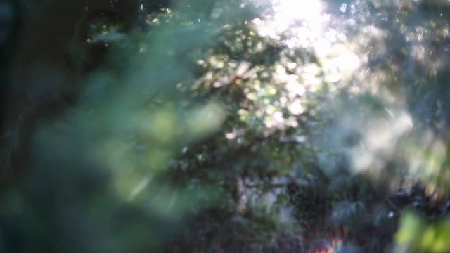 Moby - Live Ambient 5   Live Ambient Improvised Recordings Vol. 1