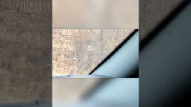 СТОИТ ЛОСЬ ПОСЛЕДНИЕ ВИДЕО БРАТА