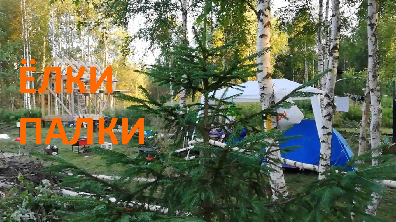 Ёлки, Палки, Бесплатный свет