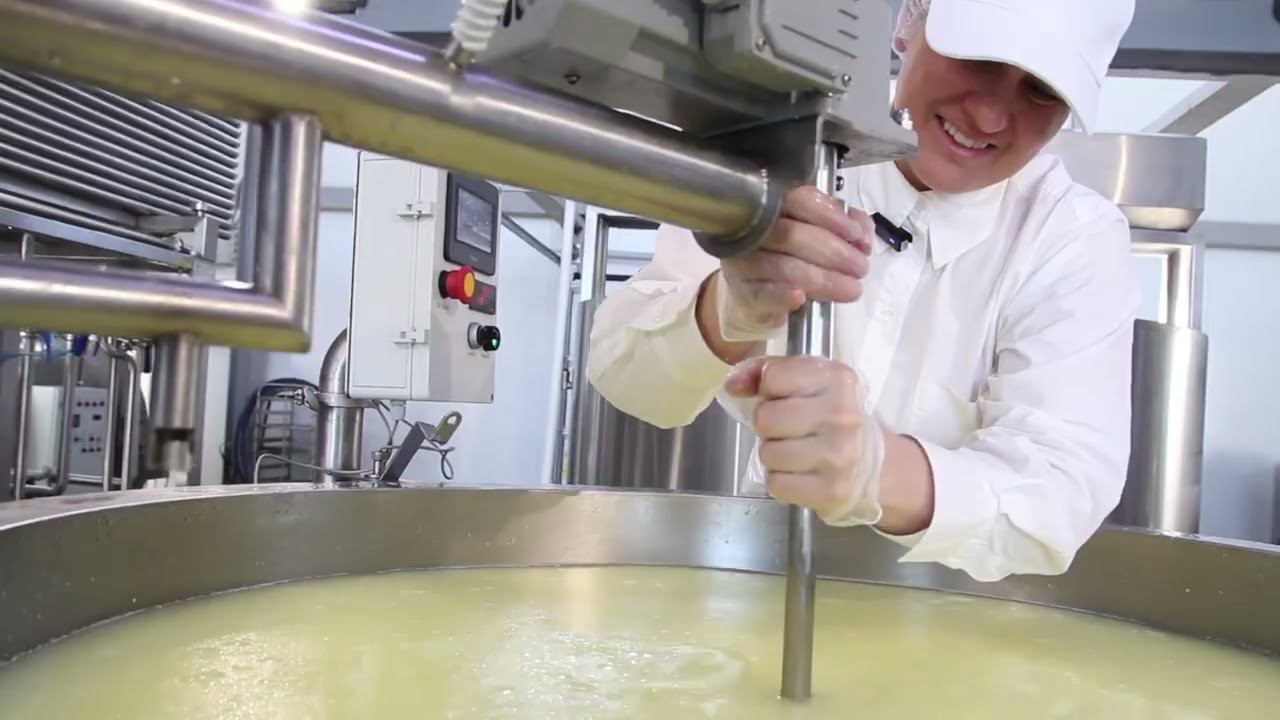 Производство сыра в сыроварне  CASARO