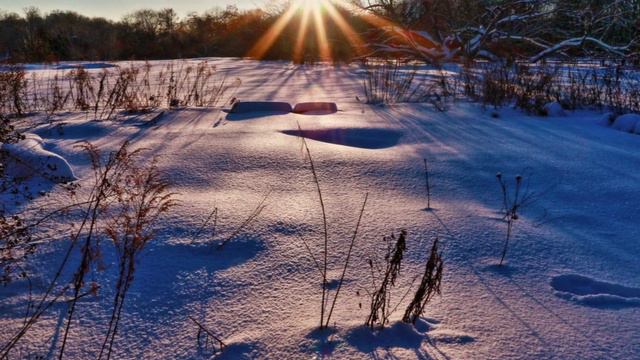 "ТАИНСТВЕННЫЙ ГОЛОС"... (Фото Николая КОНДАКОВА (Москва), музыка Владимира ДУБИНЫ (Oak Shine))