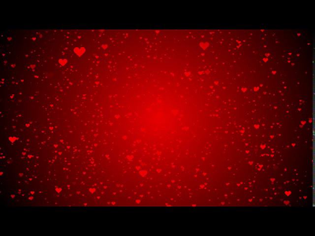 Шикарный свадебный футаж тёмно-красного фона с эффектом сердечек