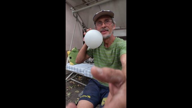 ШАРИК опух !!!