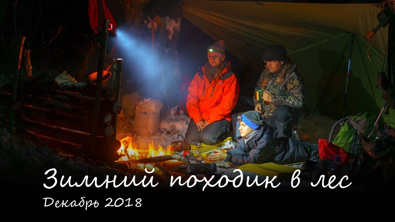 Зимний походик в лес (декабрь 2018)