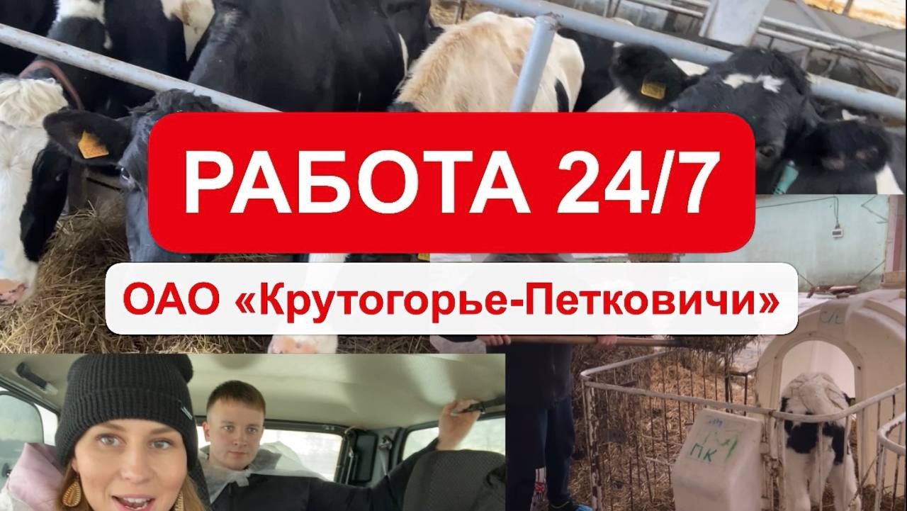 Куда деваться в обед? Что и где едят работники агрогородка Петковичи — в проекте «Работа 24/7»
