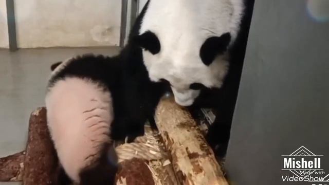 Детство Катюши 3 серия