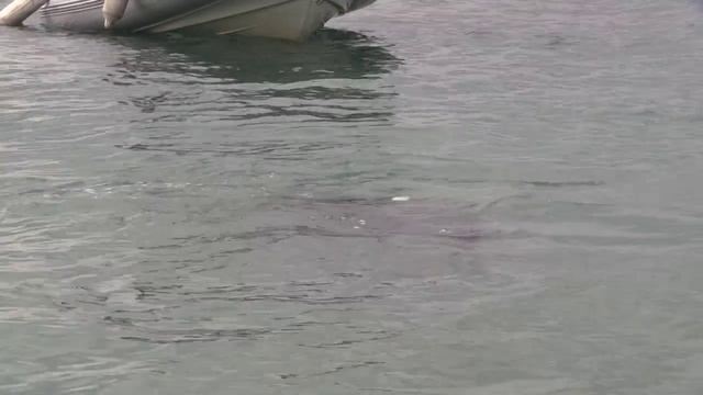 14.04.2015  ПОДГОТОВКА ПЛЯЖЕЙ к курортному сезону