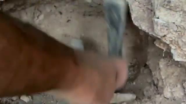 Мы нашли горшок с сокровищами