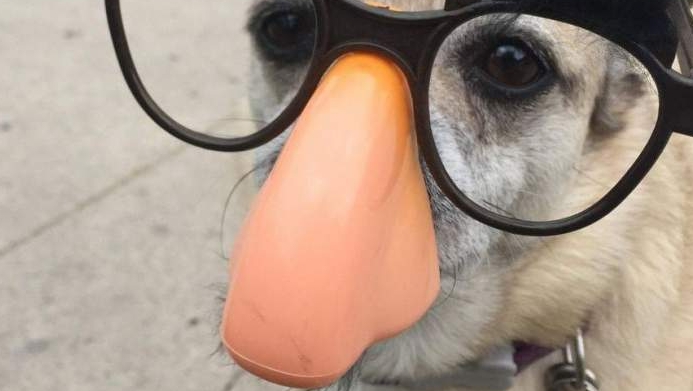 Привет народ