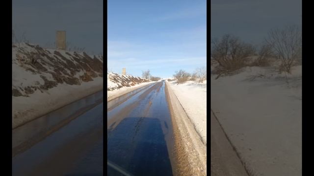 Мой песик всегда со мной))