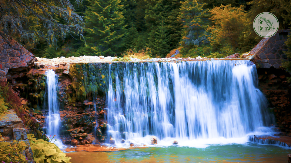 МЕДИТАЦИЯ ДЛЯ СПОКОЙСТВИЯ | Течение воды и пение птиц | Шум воды | Журчание реки