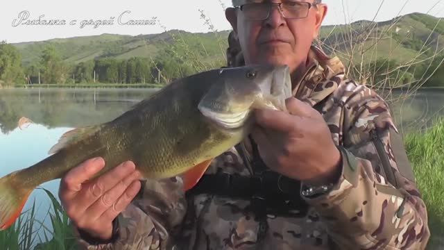 Крупный ОКУНЬ на воблер. Рыбалка со спиннингом