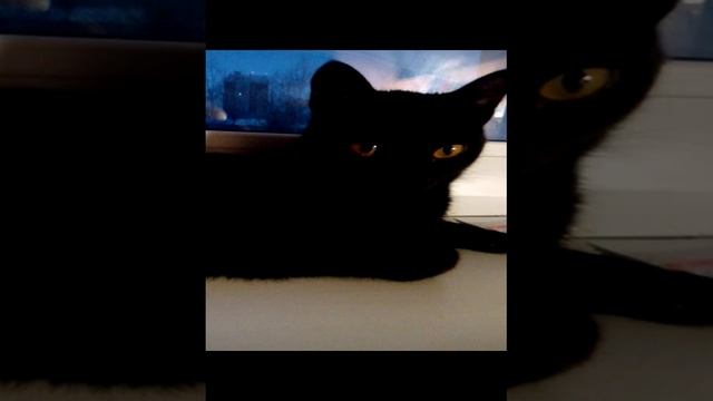 2015.12.24   _151327.