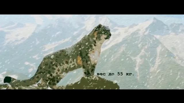 Снежные барсы