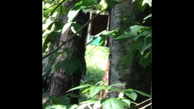 Старославянские приметы. Часть 1 ноябрь