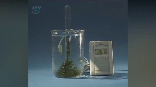 Образование органических веществ  в растении биология 7 кл.mp4