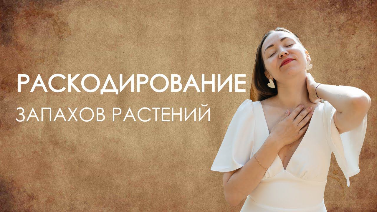 Эфир, после которого ты сможешь почувствовать аромакод любого растения сама !