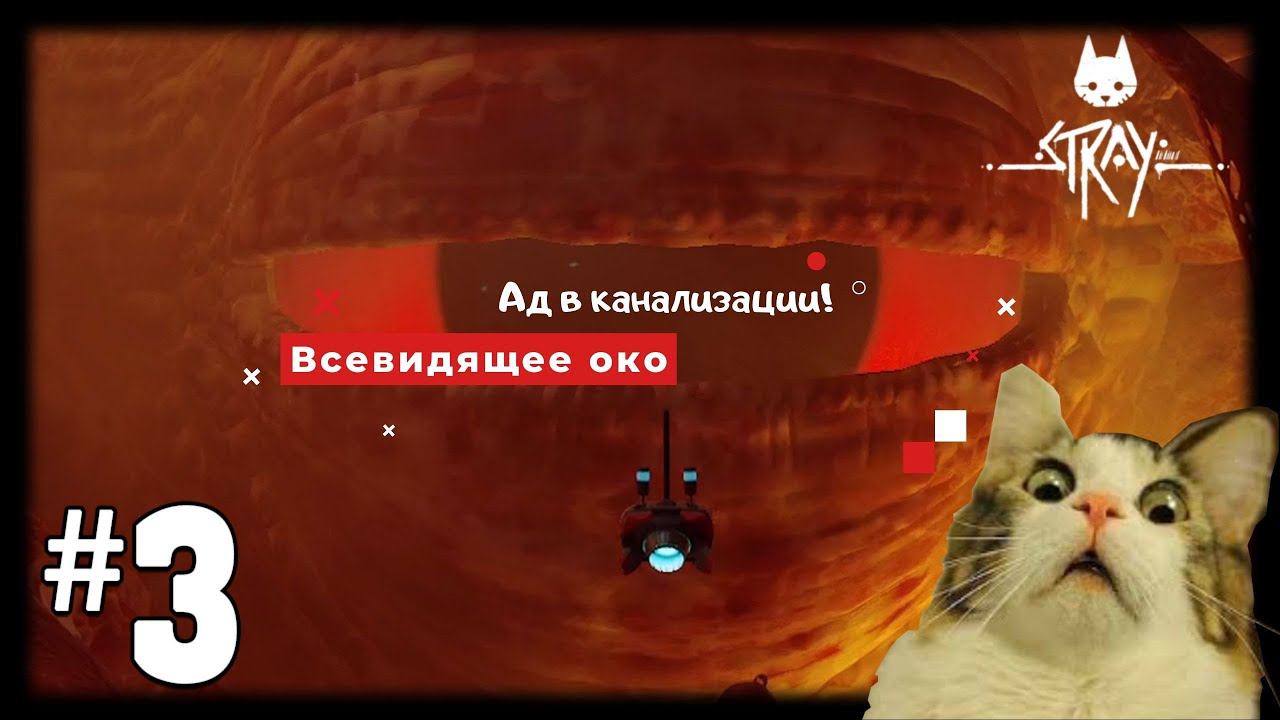 Приключение по канализации ➤ STRAY ПРОХОЖДЕНИЕ #3